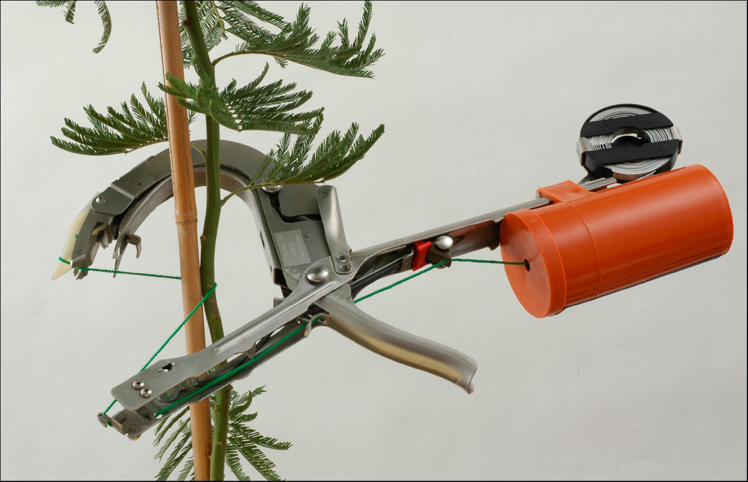 Cinch | Tying & Fastening Solutions for Nurseries – Cinch Packaging