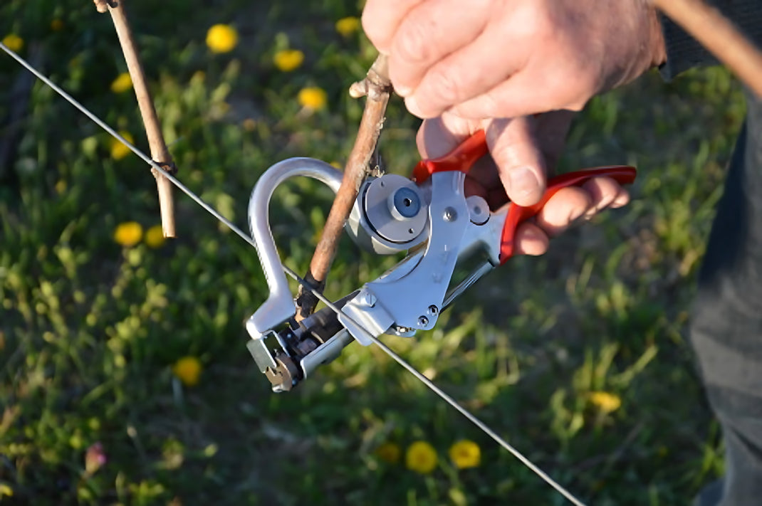 About Us | Cinch – Cinch Packaging